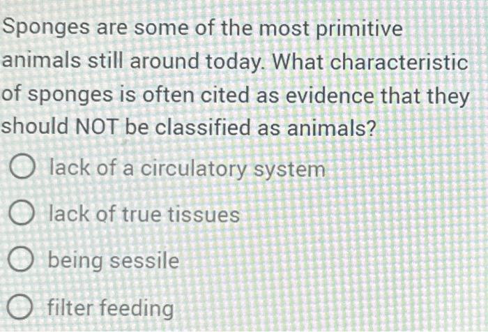Solved Sponges are some of the most primitive animals still | Chegg.com