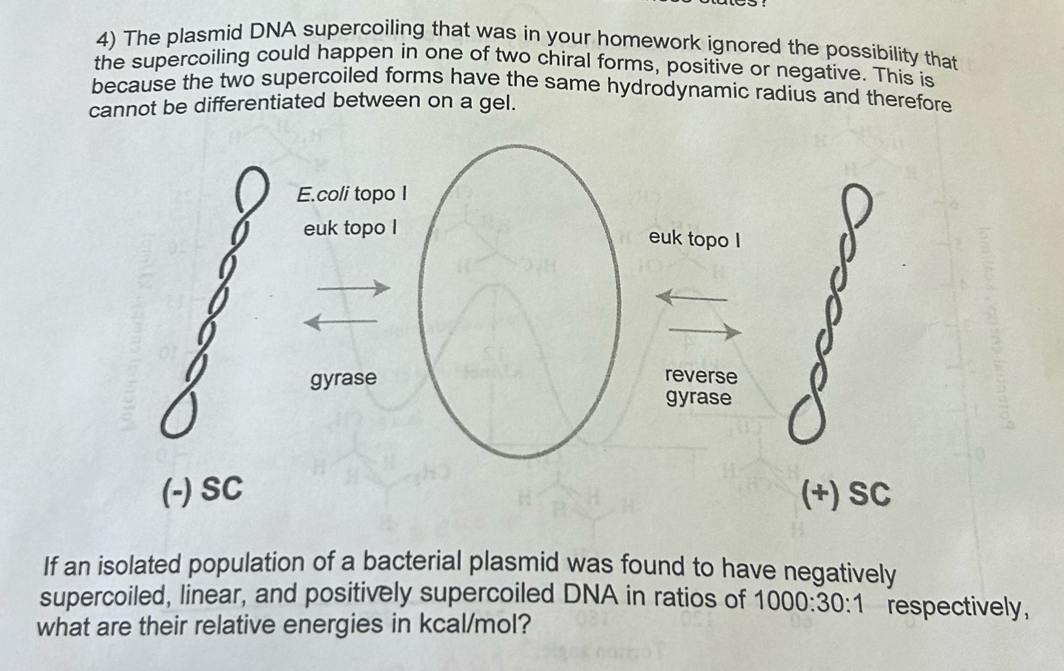 Solved The plasmid DNA supercoiling that was in your | Chegg.com