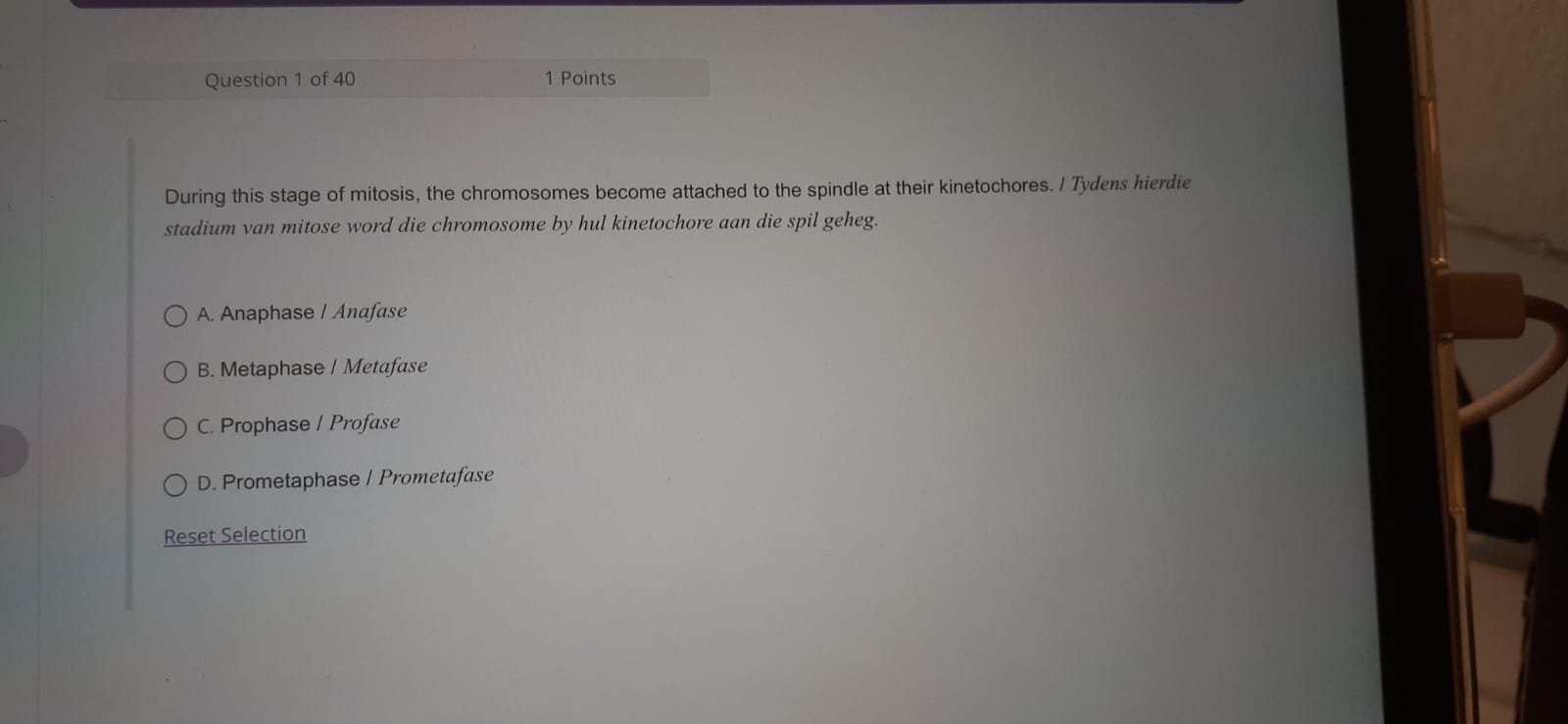 Solved Question 1 ﻿of 401 ﻿PointsDuring this stage of | Chegg.com