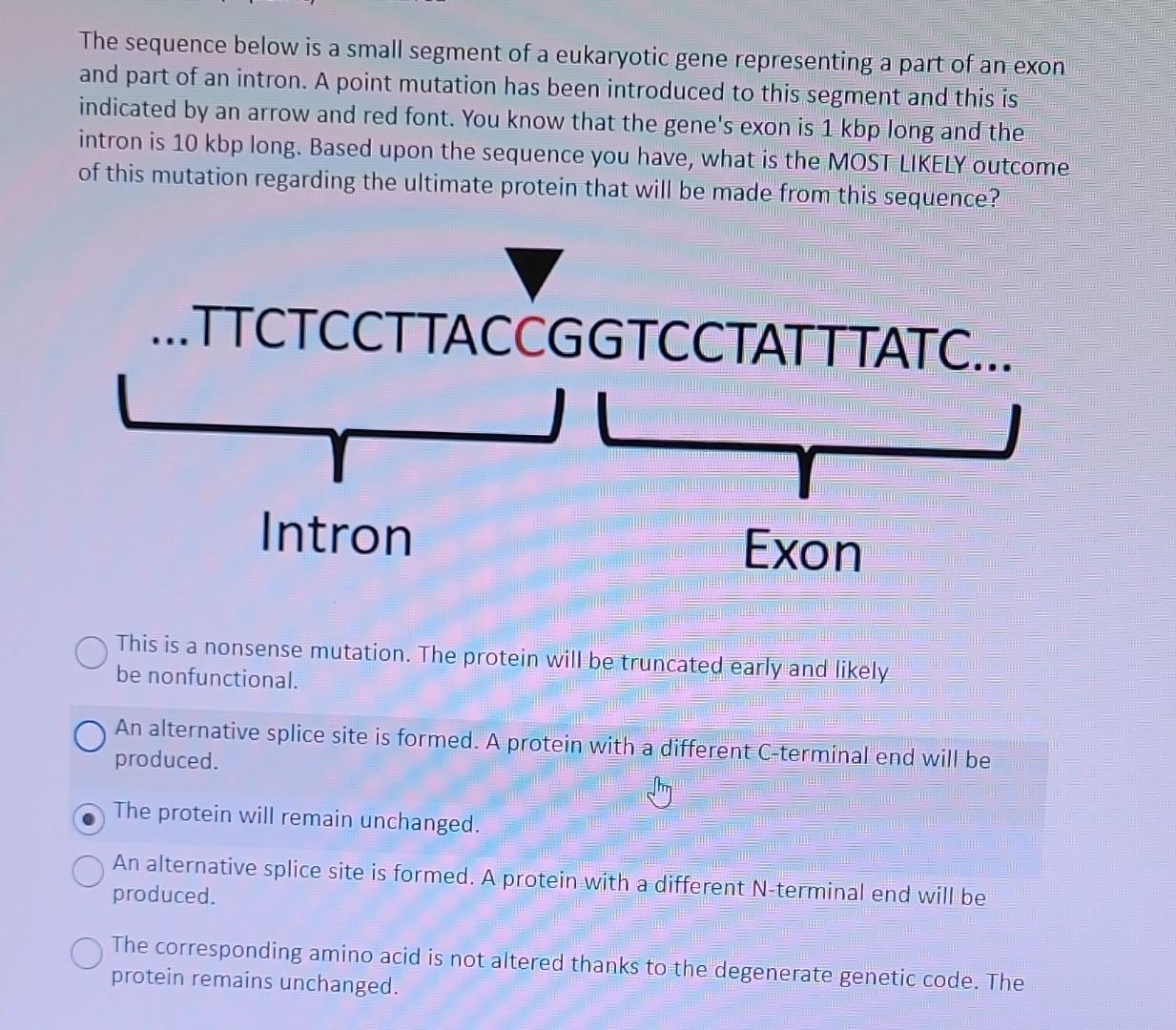 Solved The sequence below is a small segment of a eukaryotic | Chegg.com