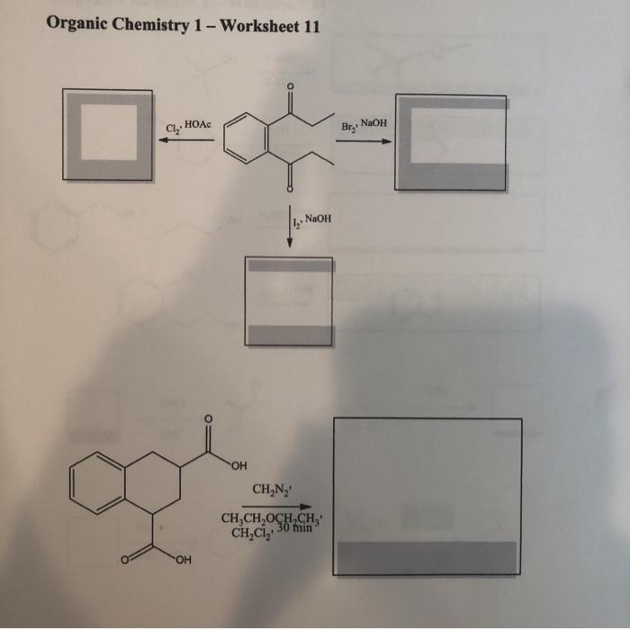 Solved Organic Chemistry 1 - Worksheet 11 For each of the | Chegg.com