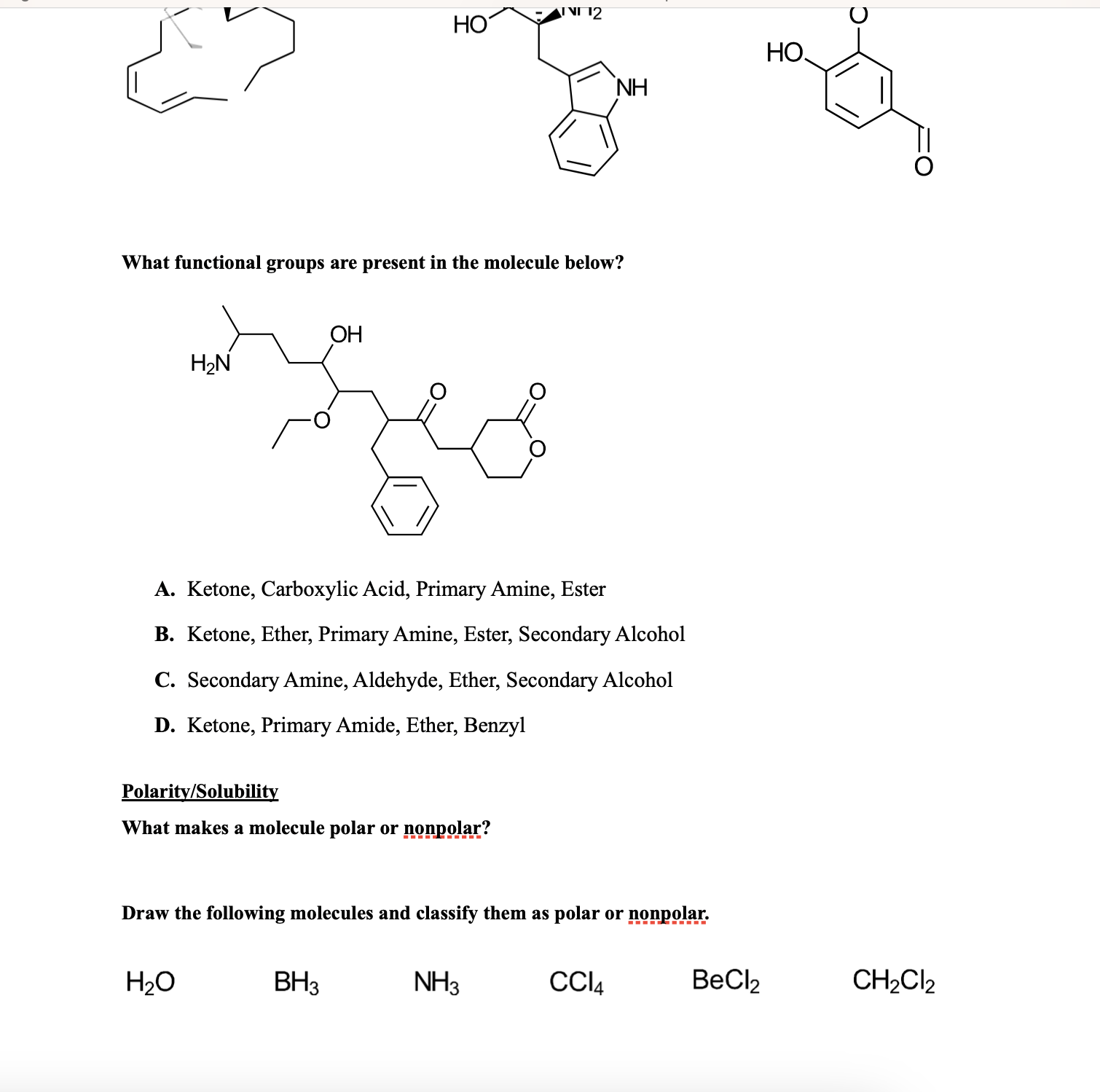 Solved If you could just help me figure out whats on this | Chegg.com