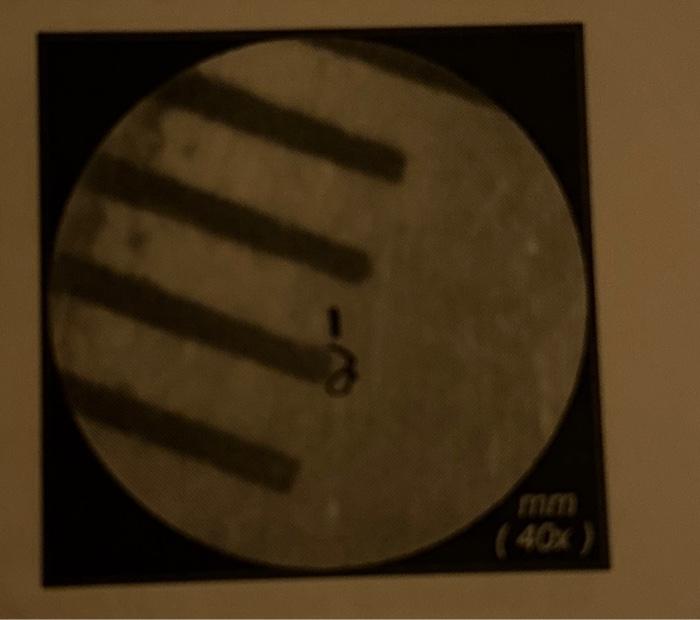 Solved 1. Place the ruler on the stage so that it covers | Chegg.com