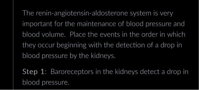 Solved The renin-angiotensin-aldosterone system is very | Chegg.com