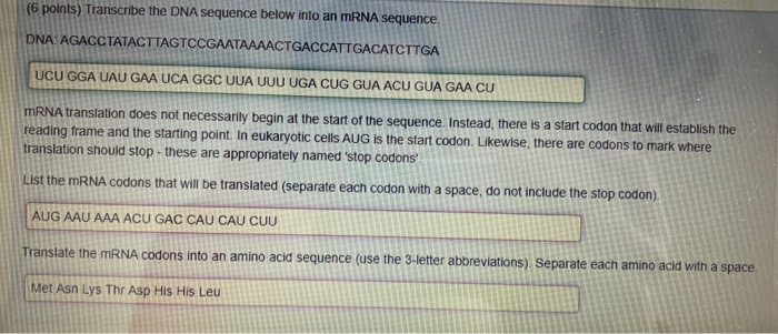 Solved (6 points) Transcribe the DNA sequence below into an | Chegg.com