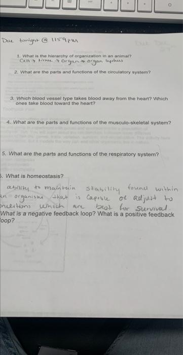 Solved 1. What is the hierarehy of organization in an | Chegg.com