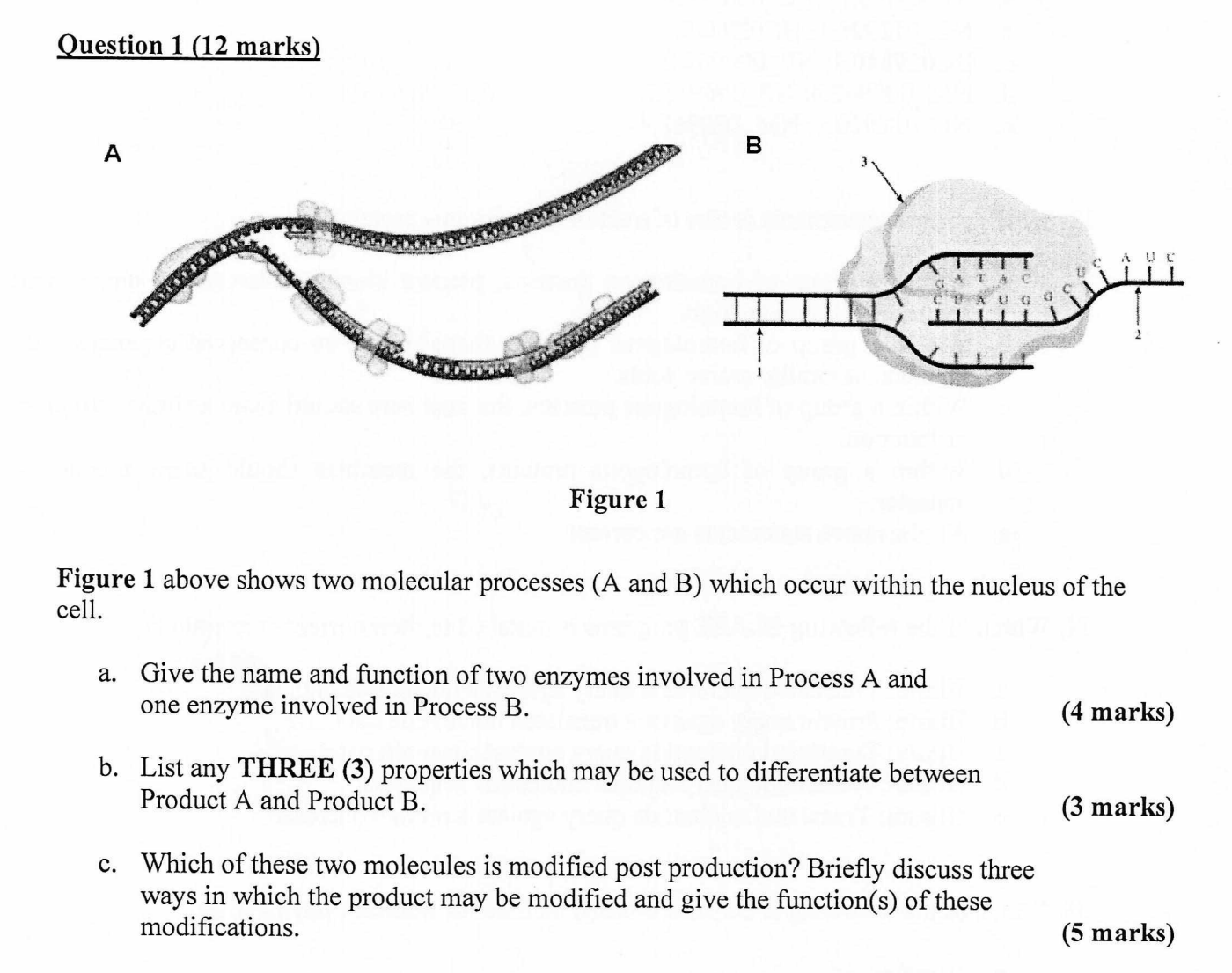 Solved Question 1 (12 ﻿marks)ABFigure 1Figure 1 ﻿above shows | Chegg.com