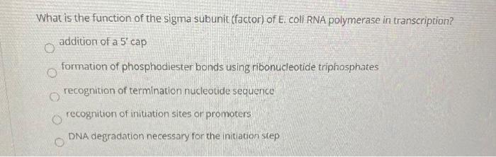 Solved What is the function of the sigma subunit (factor) of | Chegg.com