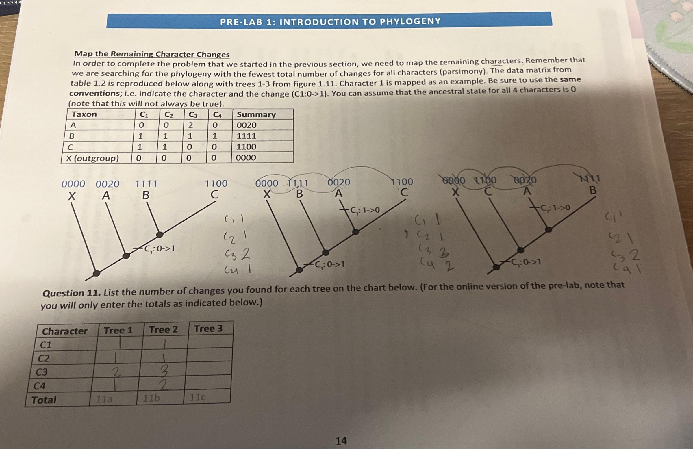Solved PRE-LAB 1: INTRODUCTION TO PHYLOGENYMap the Remaining | Chegg.com