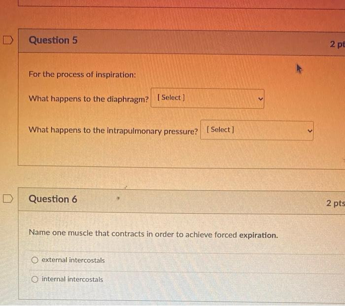 Solved Question 5 2 pt For the process of inspiration: What | Chegg.com