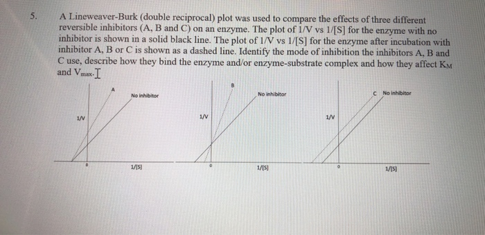 Solved A Lineweaver-Burk (double reciprocal) plot was used | Chegg.com