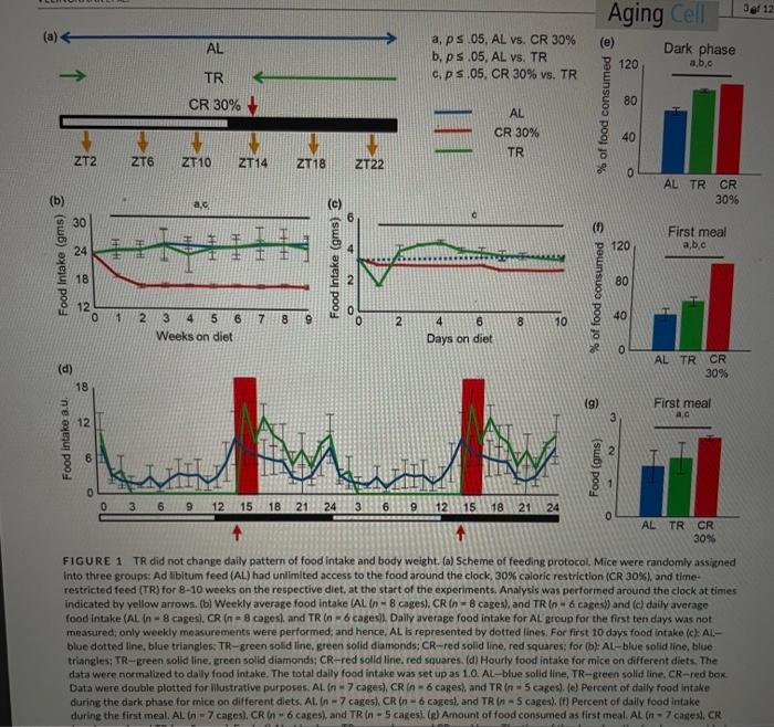 Solved explain the physiology different between 3 groups of | Chegg.com