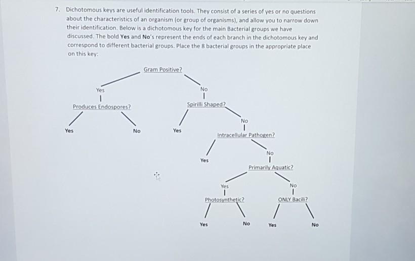 Solved 7. Dichotomous keys are useful identification tools. | Chegg.com