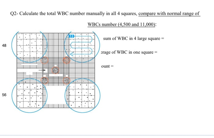 Solved Q2- Calculate the total WBC number manually in all 4 | Chegg.com