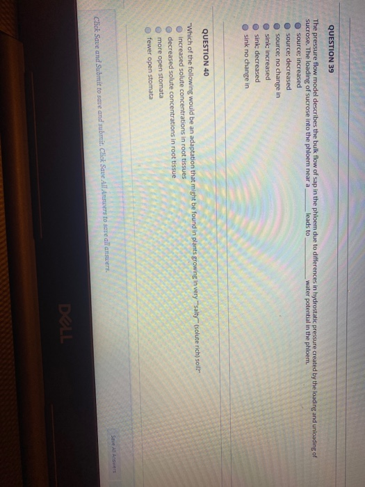 Solved QUESTION 39 The pressure flow model describes the | Chegg.com