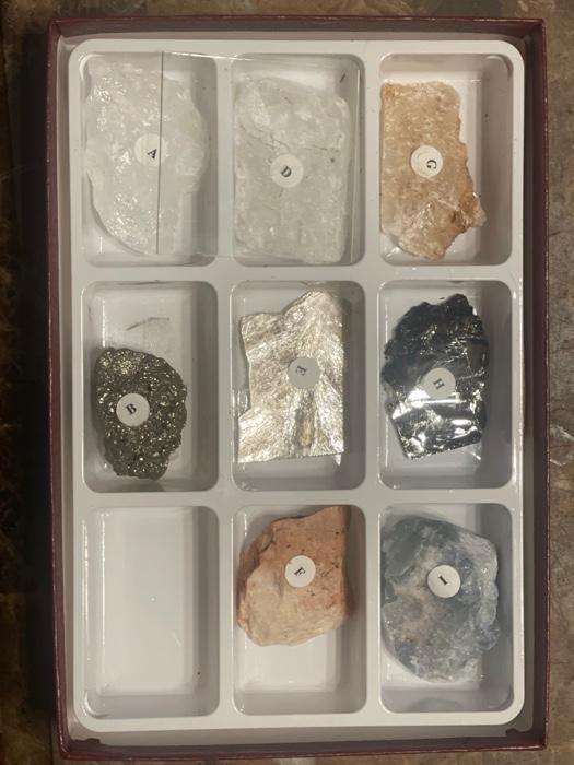 Solved 1. A possible protolith for Sample M is: a. | Chegg.com