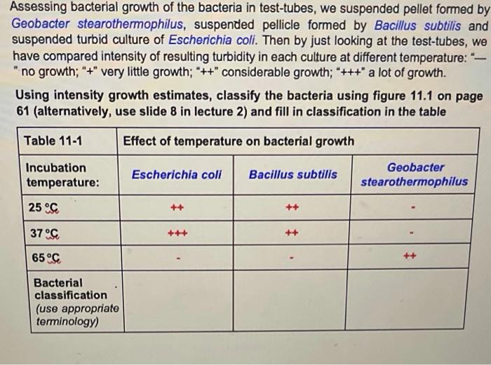 Solved Assessing bacterial growth of the bacteria in | Chegg.com