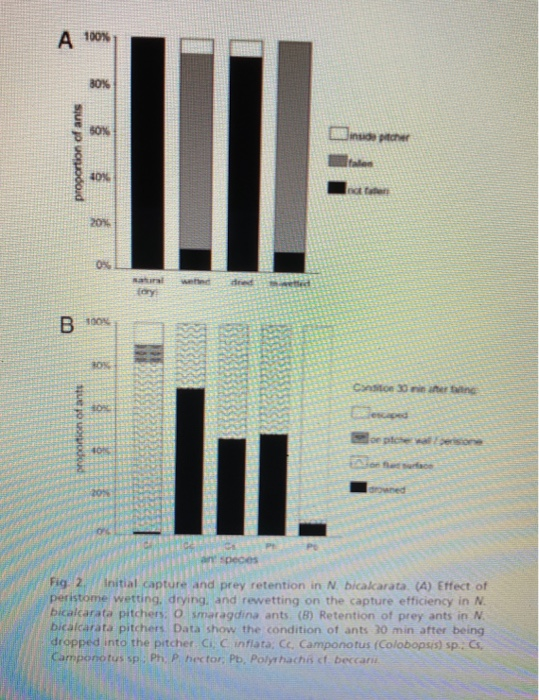Morphology. Fresh pitcher samples from the greenhouse | Chegg.com