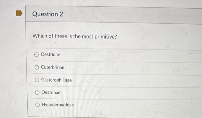 Solved Which of these is the most primitive? Oestridae | Chegg.com