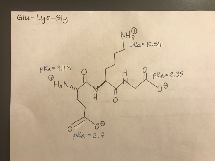 Solved Please correct my pKa values if needed and calculate | Chegg.com