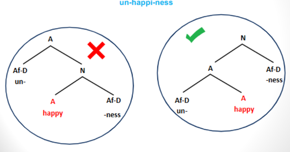 I need morphological trees made. I will provide notes | Chegg.com