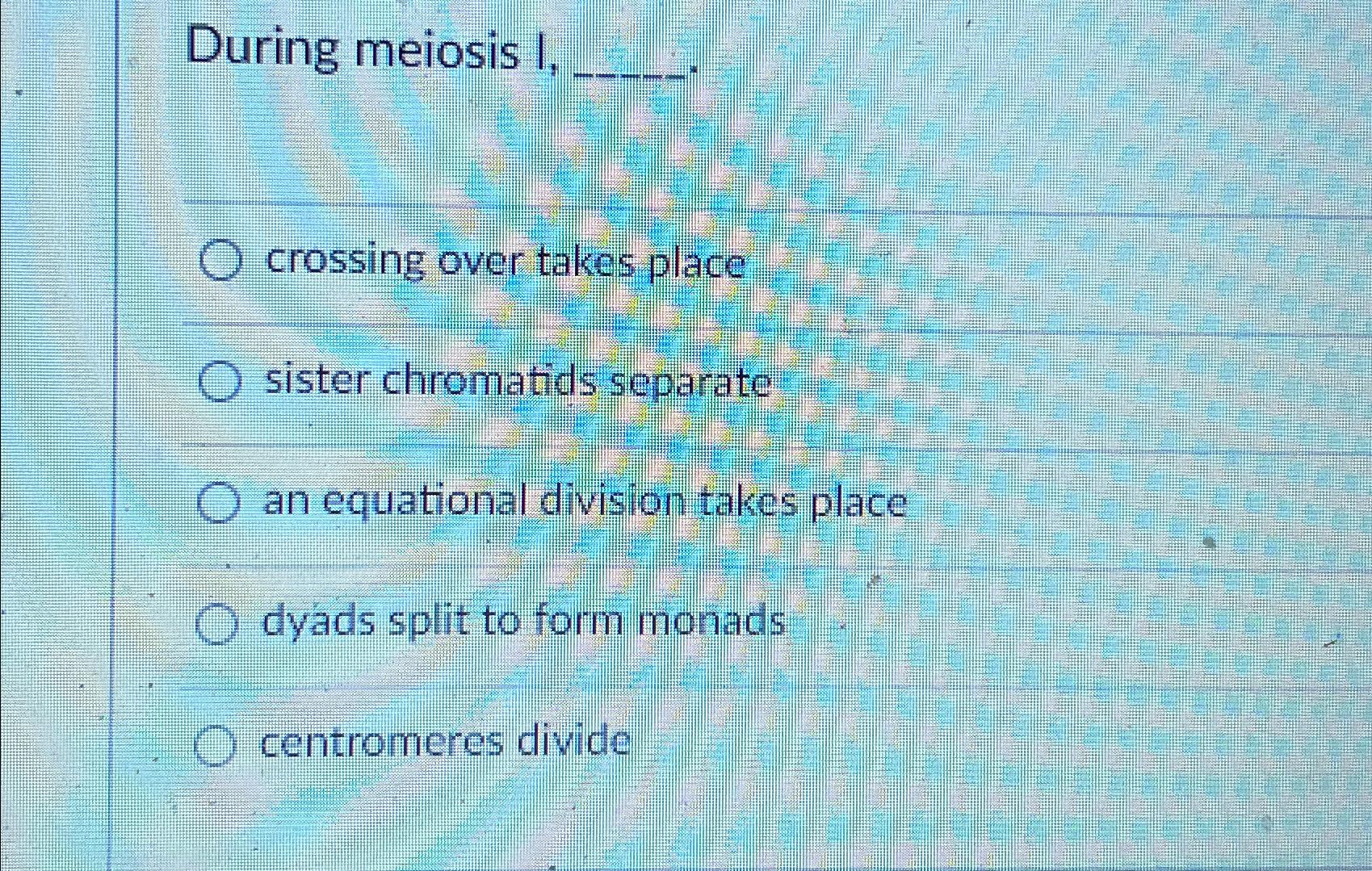 Solved During meiosis I,crossing over takes placesister | Chegg.com