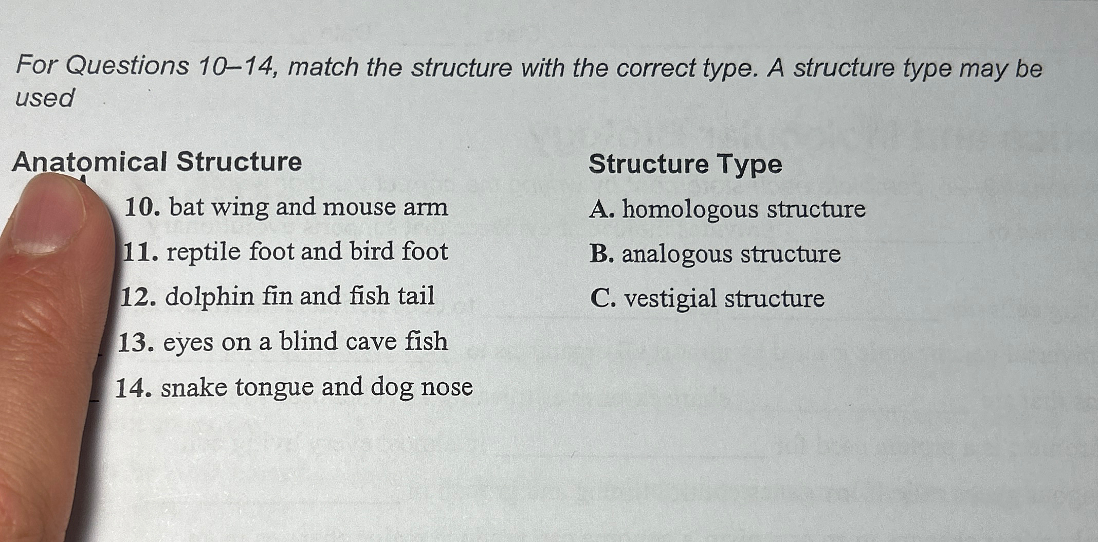 Solved For Questions 10-14, ﻿match the structure with the | Chegg.com
