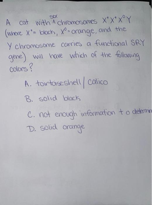 Solved Acat with the sec chromosomes X2X2X0Y (where | Chegg.com