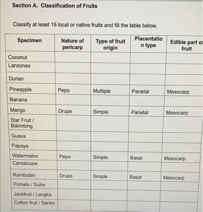 Solved Section A. Classification of Fruits Classify at least | Chegg.com