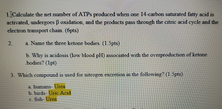 Solved 1. Calculate the net number of ATPs produced when one | Chegg.com