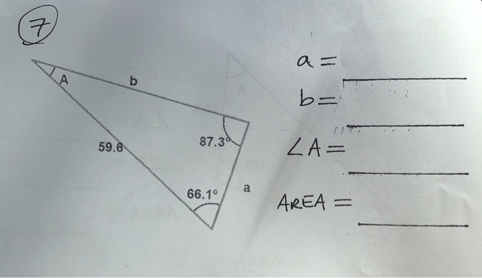 Solved Hill 59.6 87.39 66.1° / a AREA = | Chegg.com