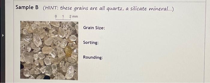 What is the nameof this rock?Grain | Chegg.com