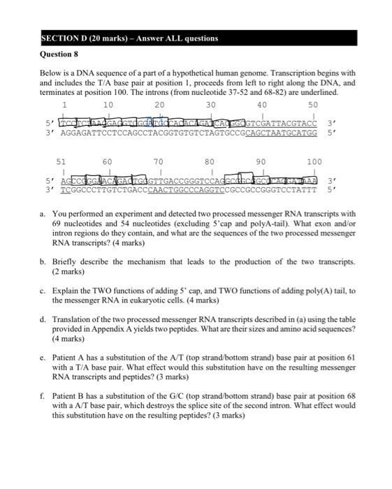 Solved Below is a DNA sequence of a part of a hypothetical | Chegg.com