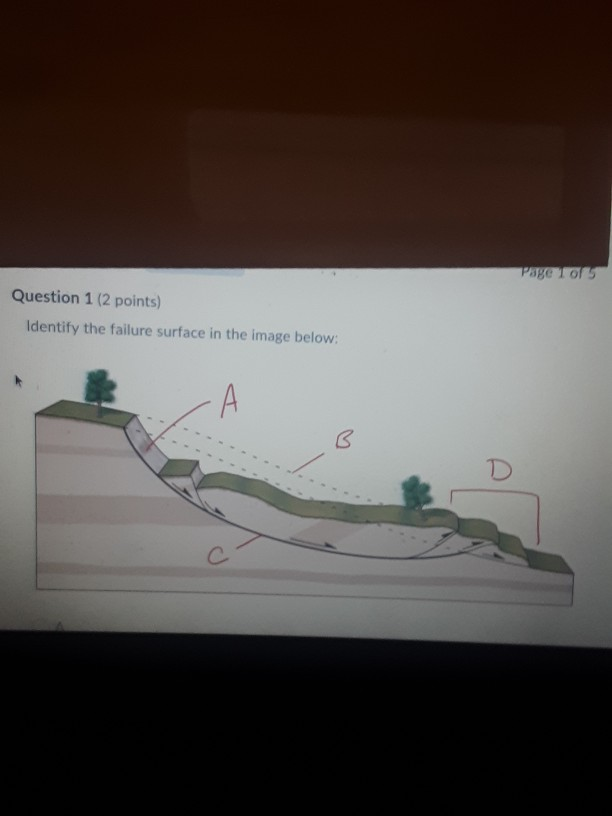 Solved Page 1 of 5 Question 1 (2 points) Identify the | Chegg.com