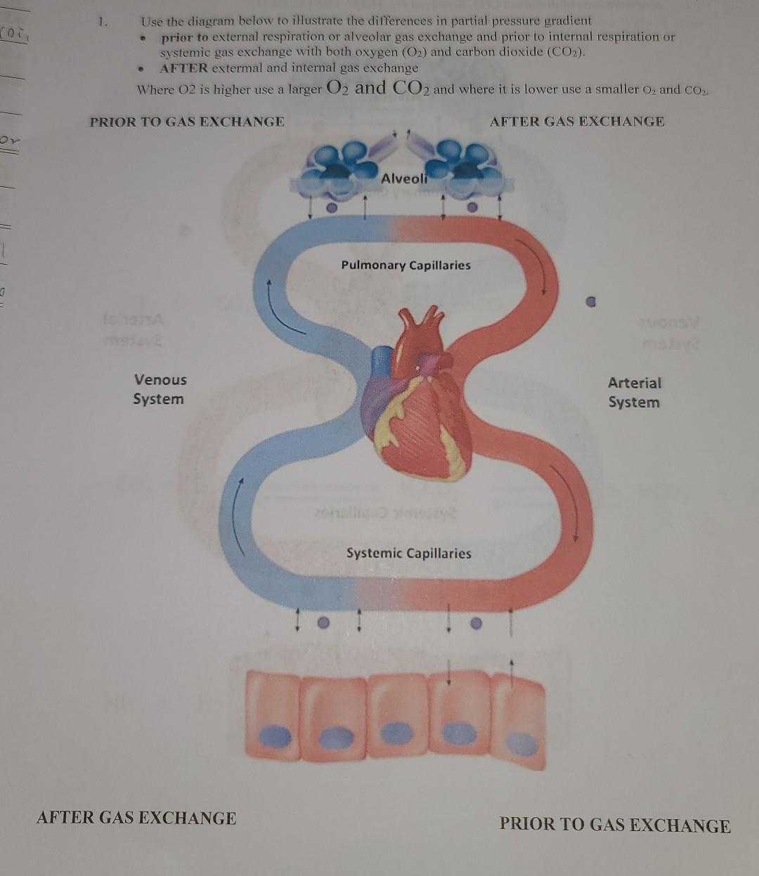 Solved 1. Use the diagram below to illustrate the | Chegg.com