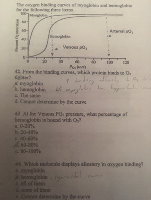 Solved The oxygen binding curves of myoglobin and hemoglobin | Chegg.com