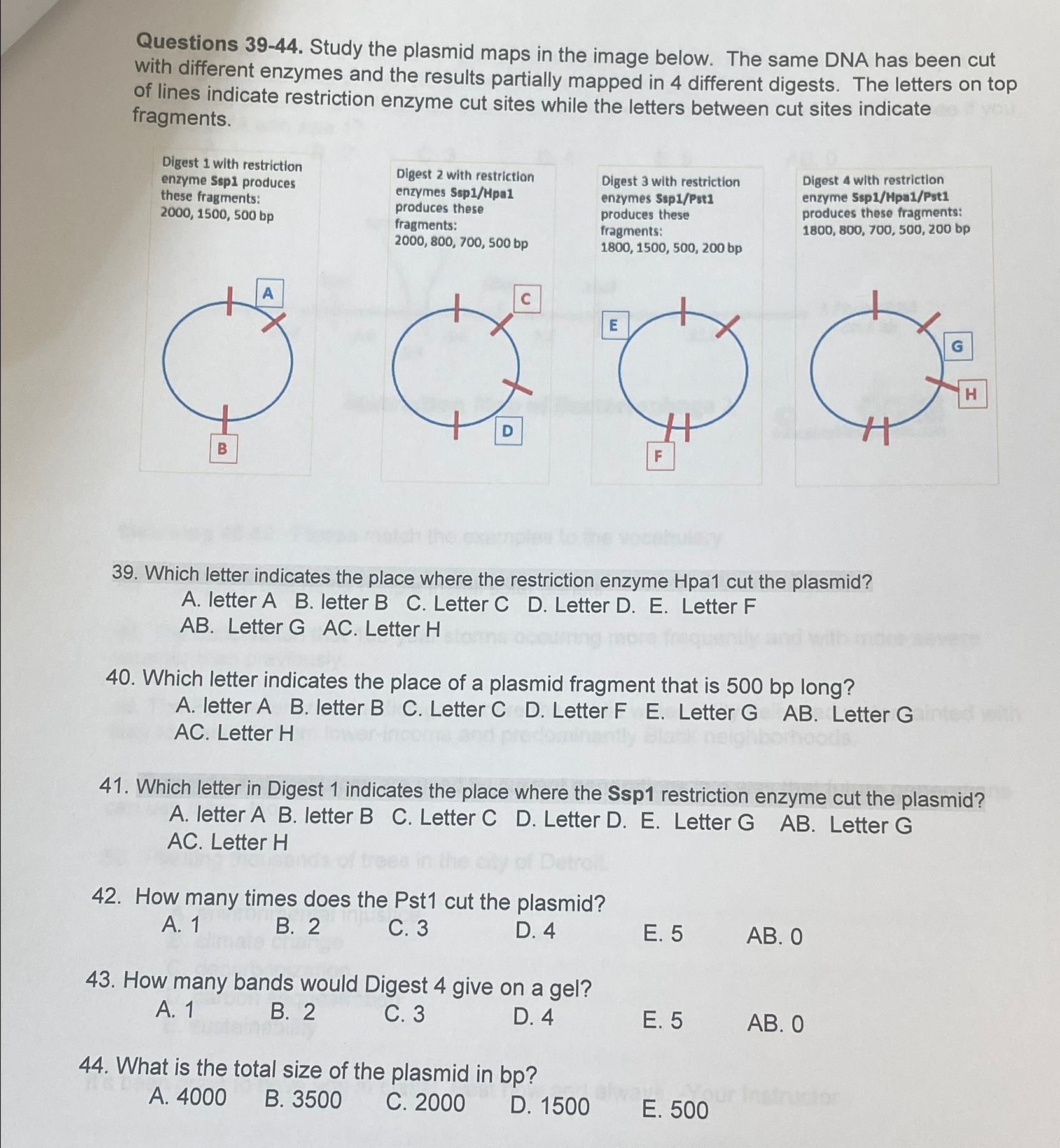 Solved Questions 39-44. ﻿Study the plasmid maps in the image | Chegg.com