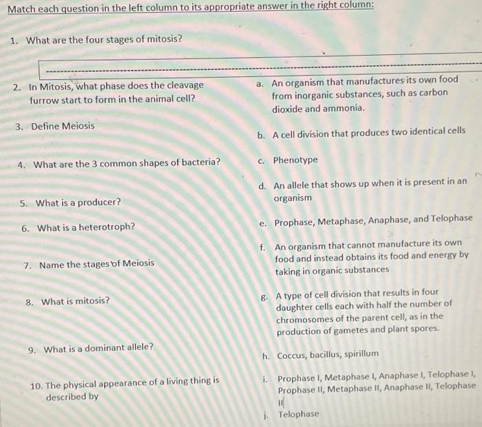 Solved 1. What are the four stages of mitosis? 2. In | Chegg.com