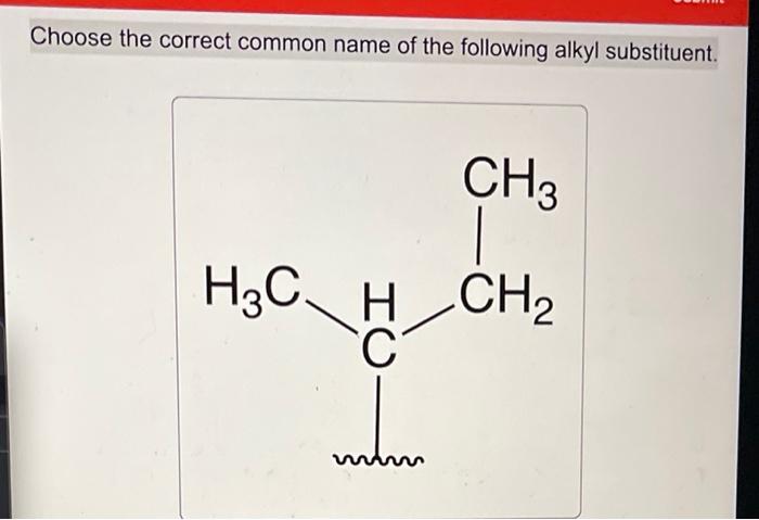 Solved Choose the correct common name of the following alkyl | Chegg.com