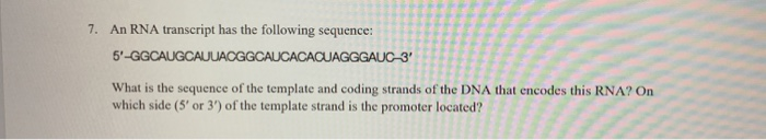 Solved 7. An RNA transcript has the following sequence: | Chegg.com