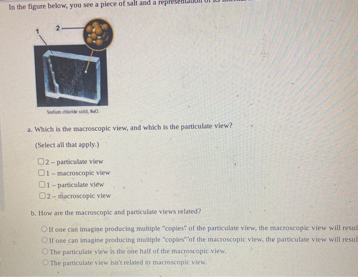 Solved You have a solution of KCl dissolved in water. | Chegg.com