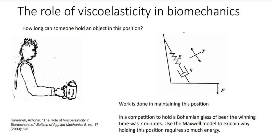 Solved The role of viscoelasticity in biomechanics How long | Chegg.com