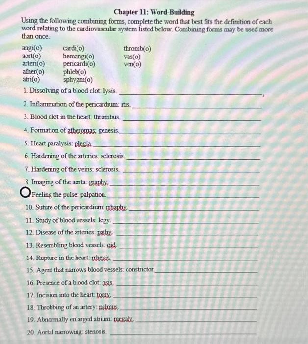 Solved Chapter 11: Word-Building Using the following | Chegg.com