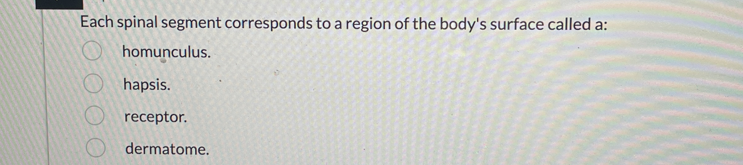 Solved Each spinal segment corresponds to a region of the | Chegg.com