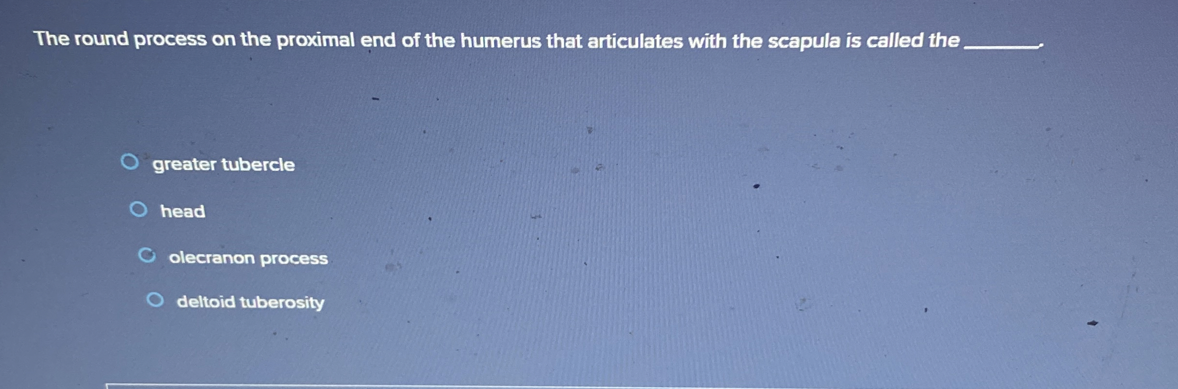 Solved The round process on the proximal end of the humerus | Chegg.com