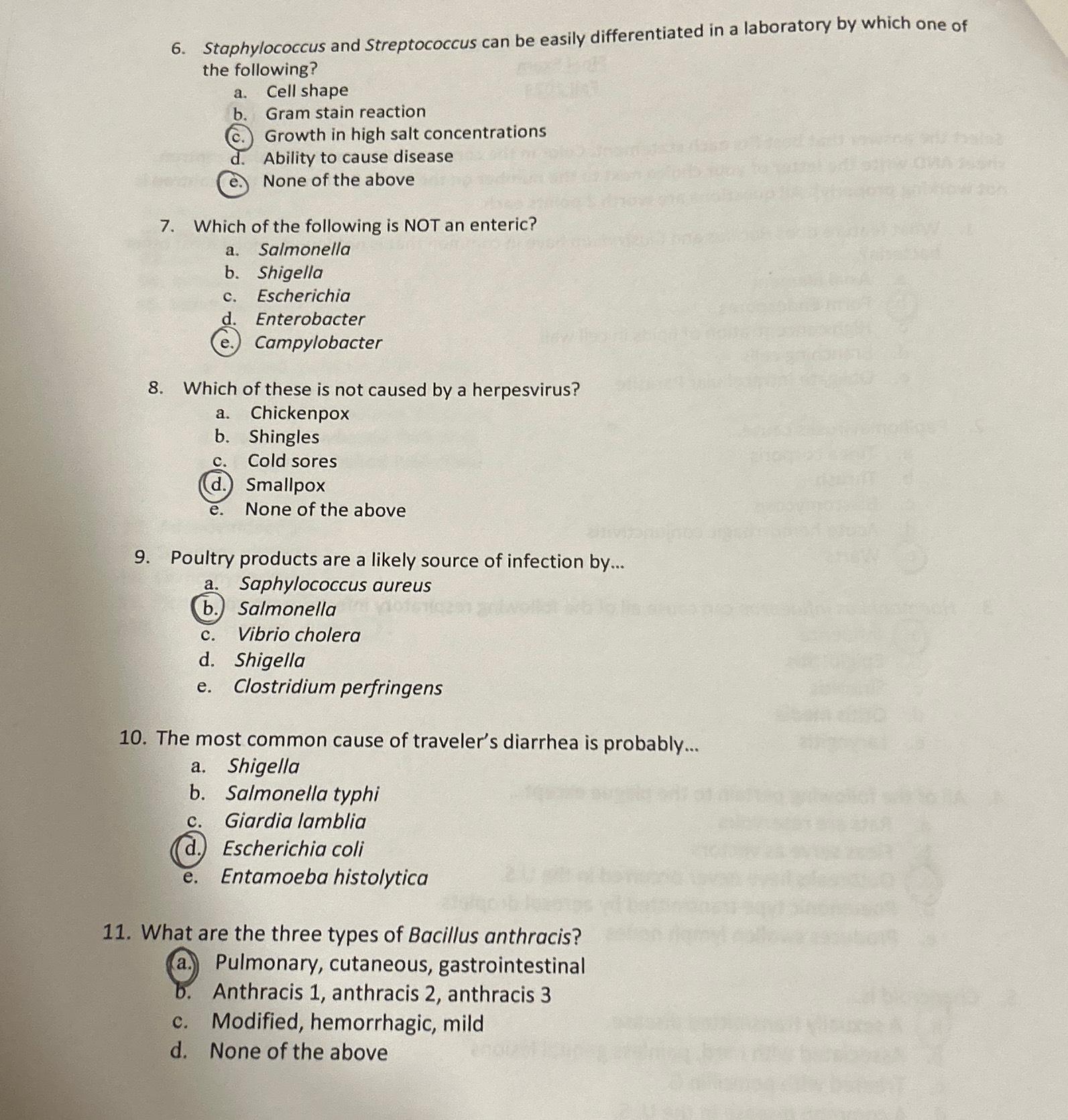 Solved Staphylococcus and Streptococcus can be easily | Chegg.com