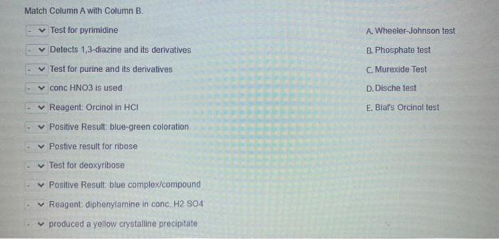 Solved Match Column A with Column B. Test for pyrimidine A. | Chegg.com