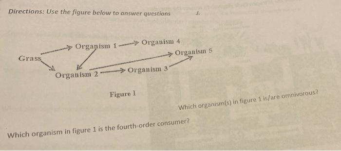 Solved which organisms in figuer 1 is/are omnivorous?which | Chegg.com