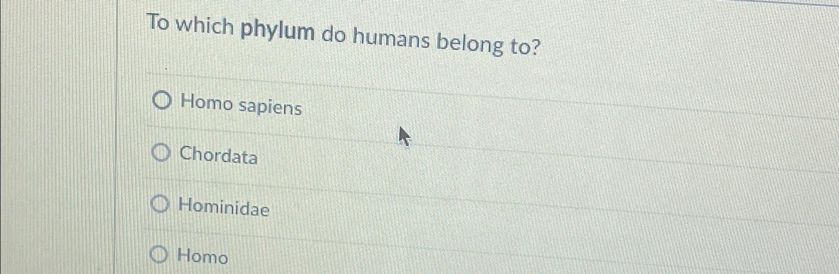 Solved To which phylum do humans belong to?Homo | Chegg.com