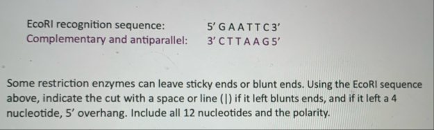 Solved Ecori Recognition Sequence Complementary And